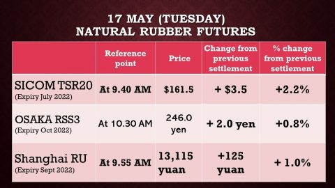 Today's Uptrend in Natural Rubber Prices: Is it the beginning of a ...